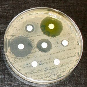 Cilagicin, a New Antibiotic, That Can Turn the Tide in the War against ...