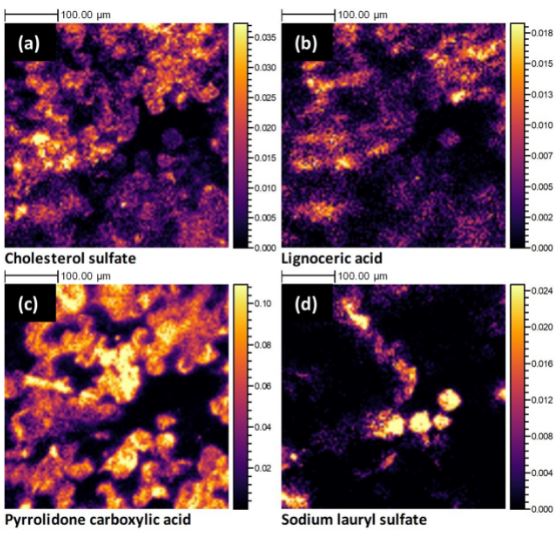 Mass Spectrometric Skin Analysis Serves as a Great Aid in the ...