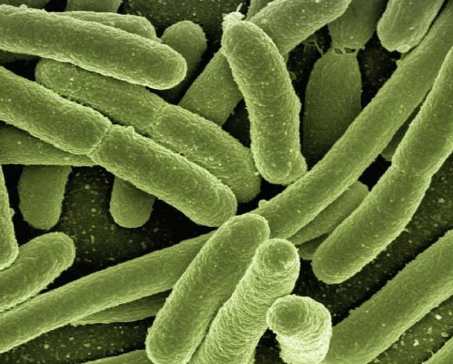 Researcher Find Missing Link Critical For Effective Protection Against ...
