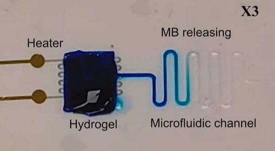 New Artificial Neurons Push the Frontiers of the Man-Machine Interface ...