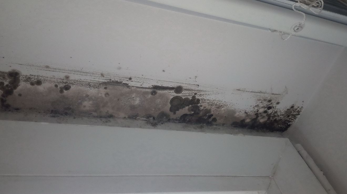 Humidity's Role in Health: Effects on Skin, Respiration, Sleep, Joints ...